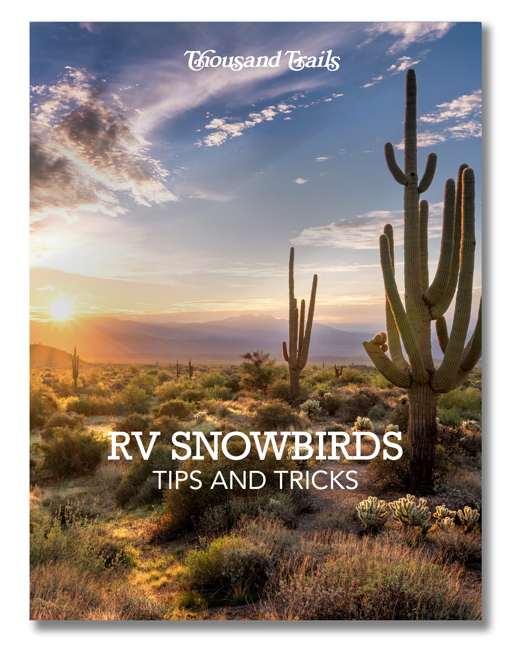 RV Snowbirds: Tips and Tricks -- Download Today | Encore RV Resort